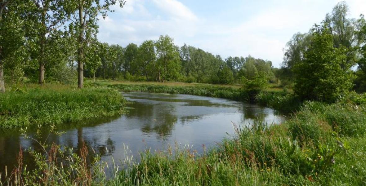 Woensel | OpenEindhoven